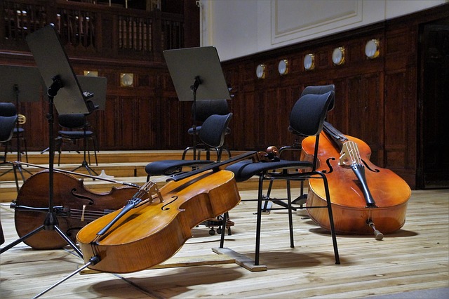 The Cello vs. the Double Bass » All Shore Orchestra
